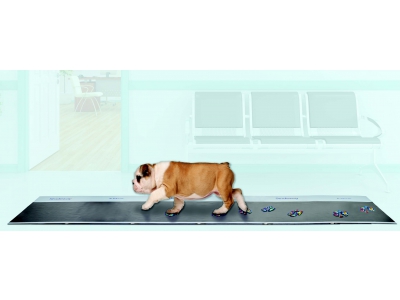 Strideway Animal Gait Analysis System Pressure Measurement | Absolute ...